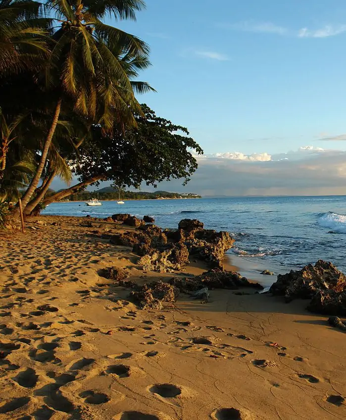 Coqui Car Rental | Top Jeep Rentals in Vieques, Puerto Rico